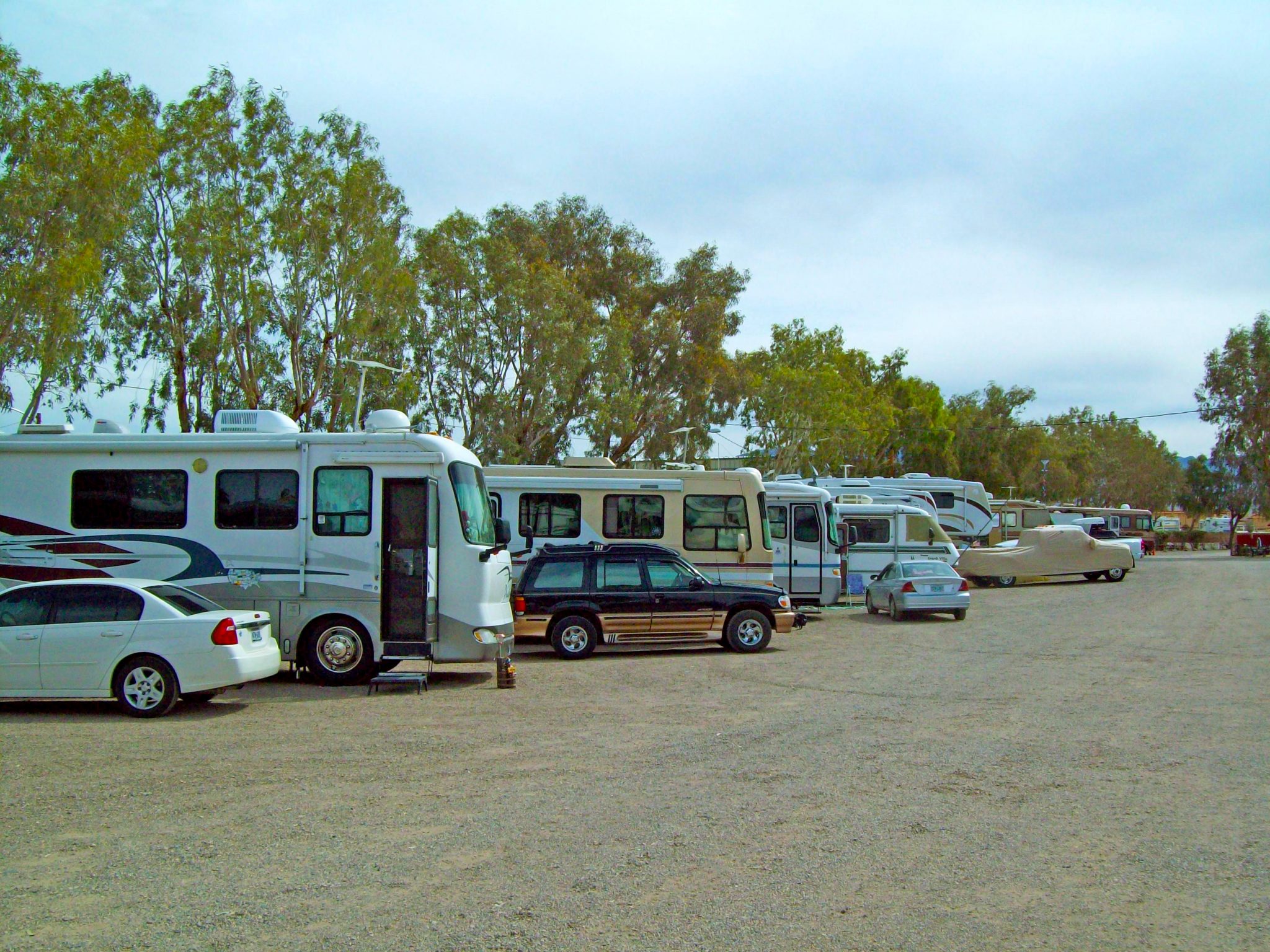 Lake Havasu Resort | RV Parks | Colorado River Adventures